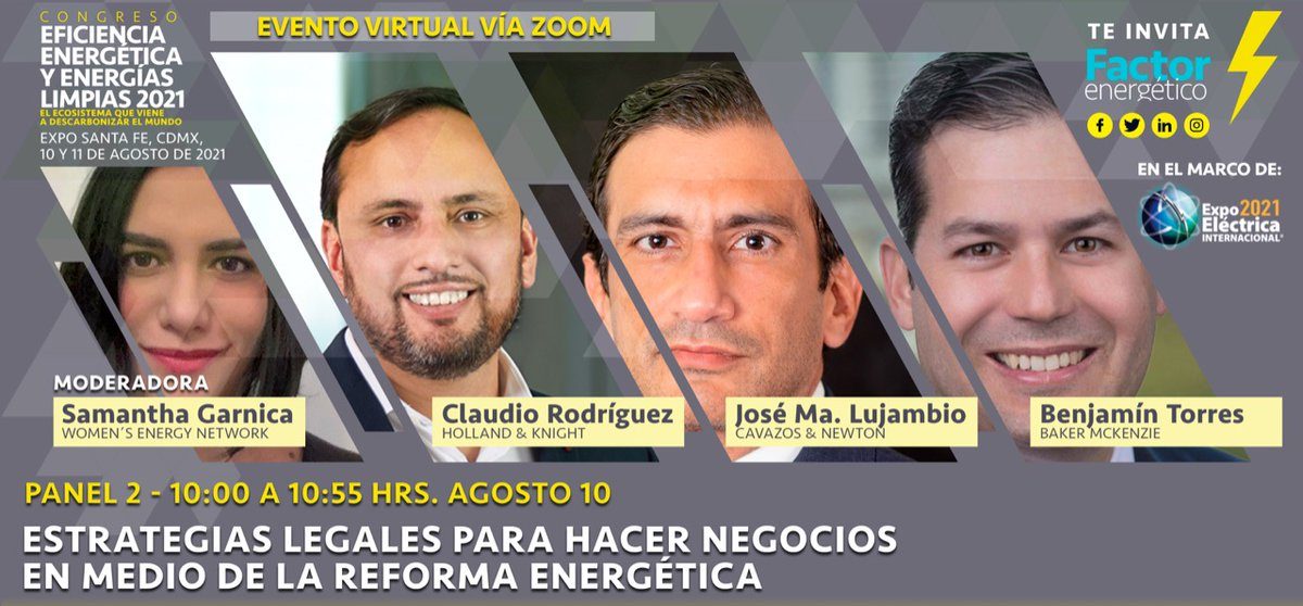 Difícil que se concrete reforma constitucional en el sector eléctrico ...