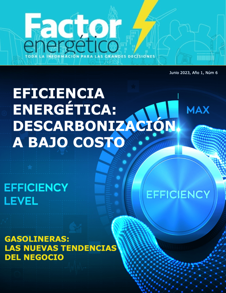 Eficiencia Energética: Descarbonización a Bajo Costo - Factor energético